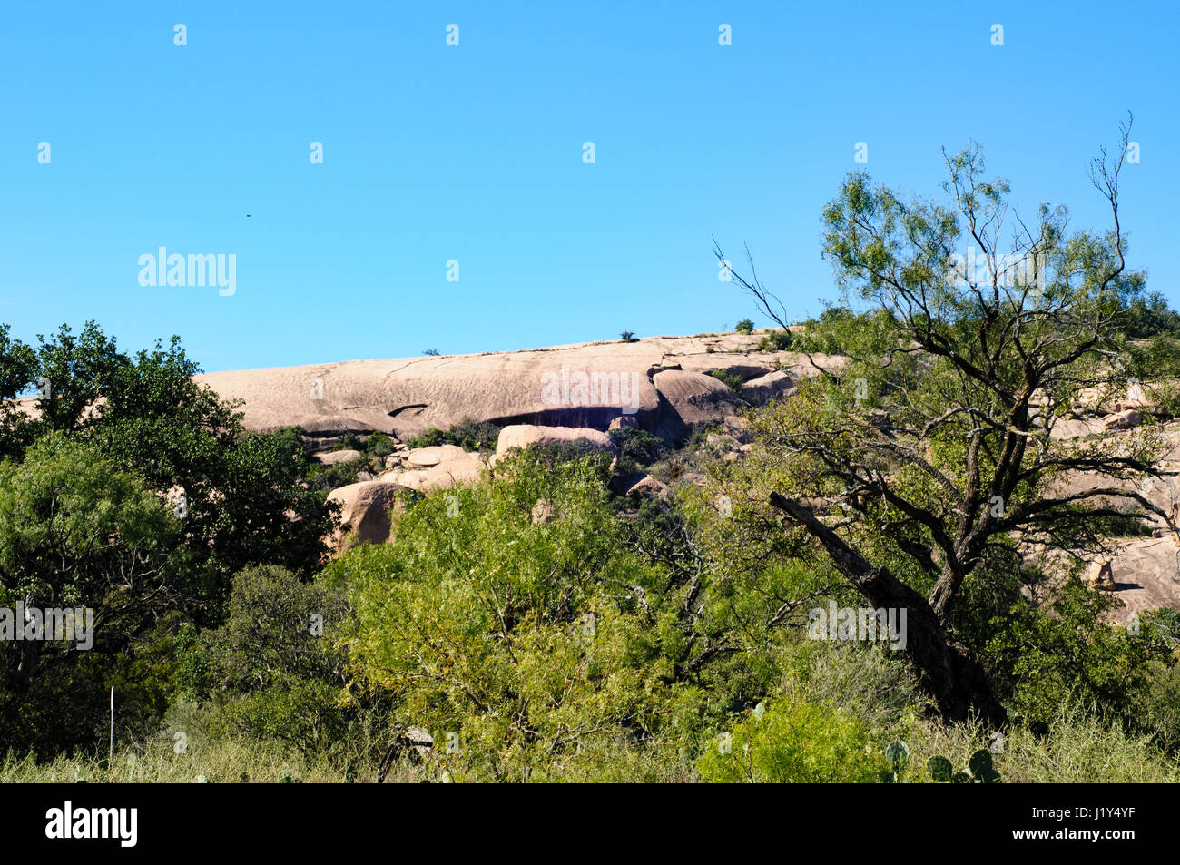 Red granite of Enchanted Rock near the Edwards Plateau in the Texas ...