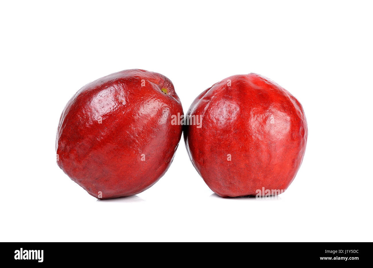 Pomerac, Malay apple, isolated on white background Stock Photo - Alamy