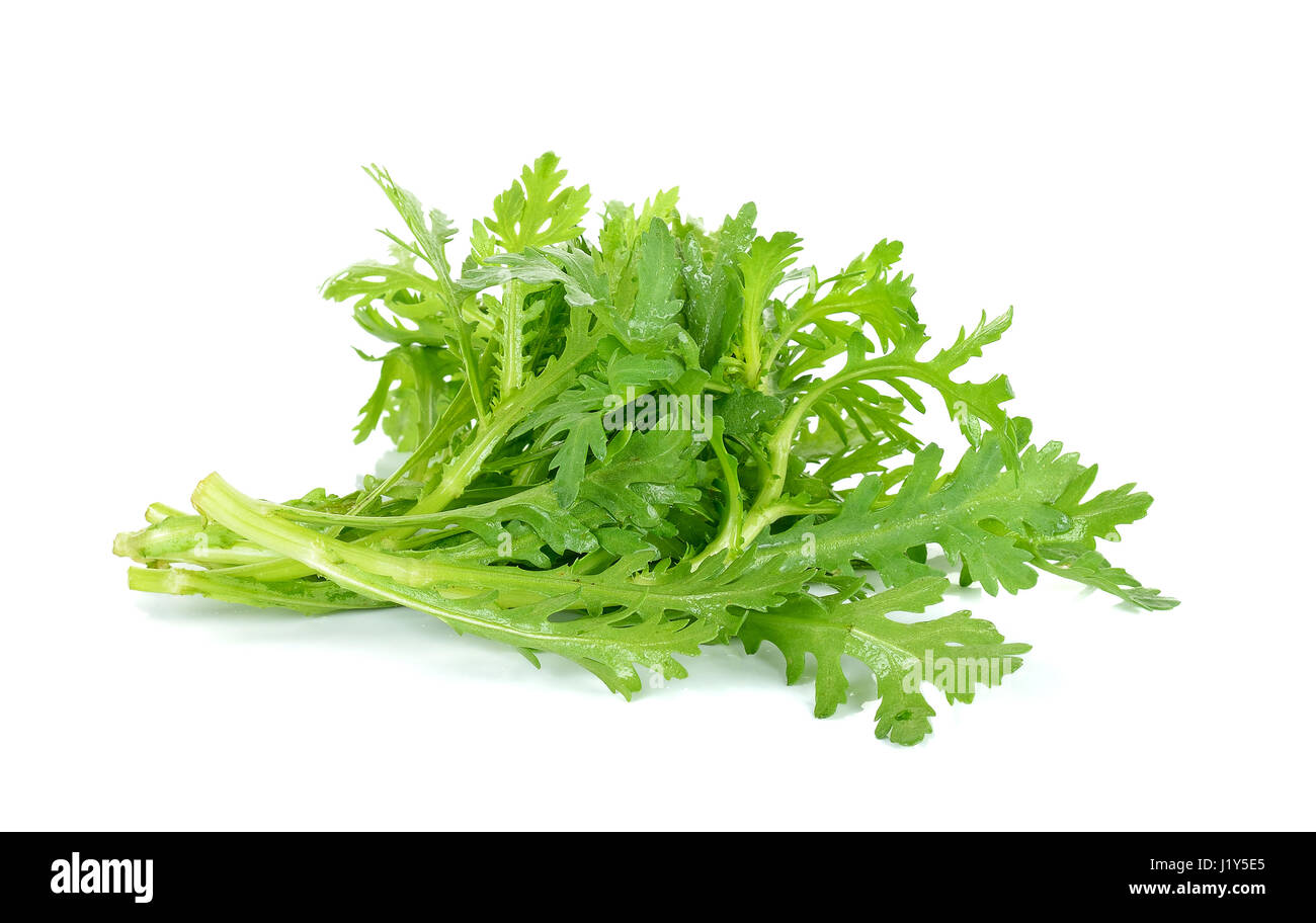 Crown Daisy Vegetable High Resolution Stock Photography and Images - Alamy