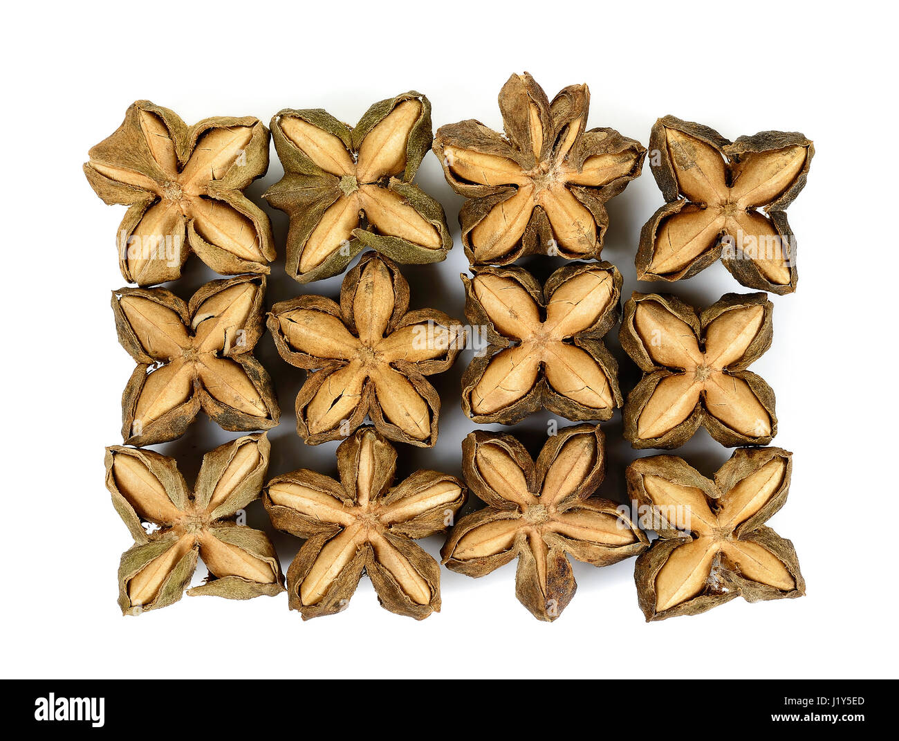 Sacha Inchi Plant High Resolution Stock Photography and Images - Alamy