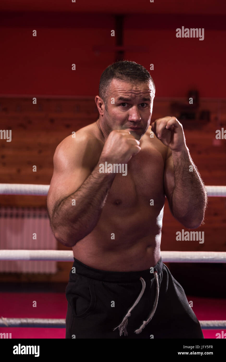 professional kickboxer with hands in martial arts position training for ...