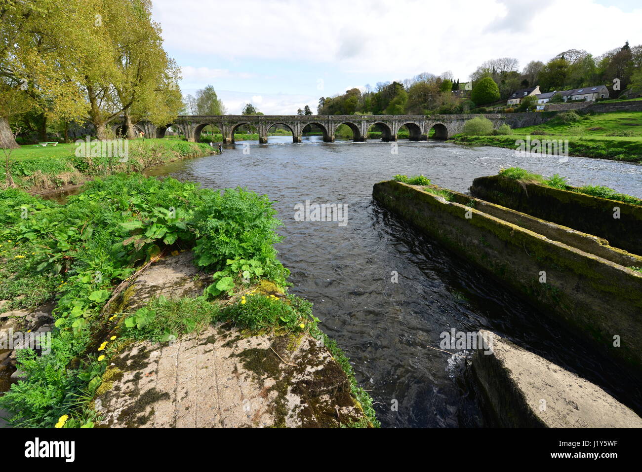 River nore bank hi-res stock photography and images - Alamy