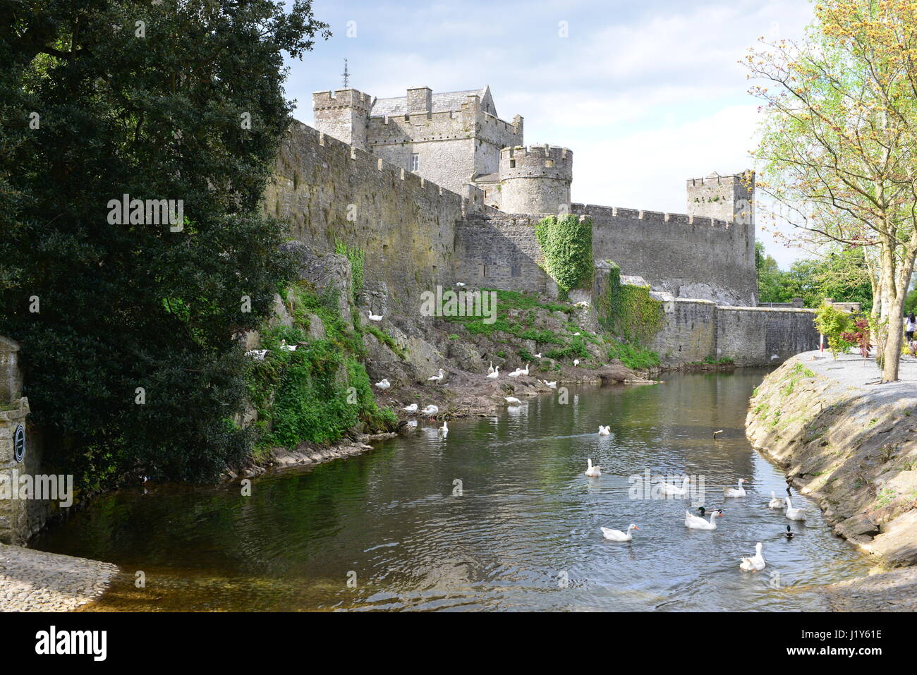 Cahir castle in Ireland Stock Photo - Alamy