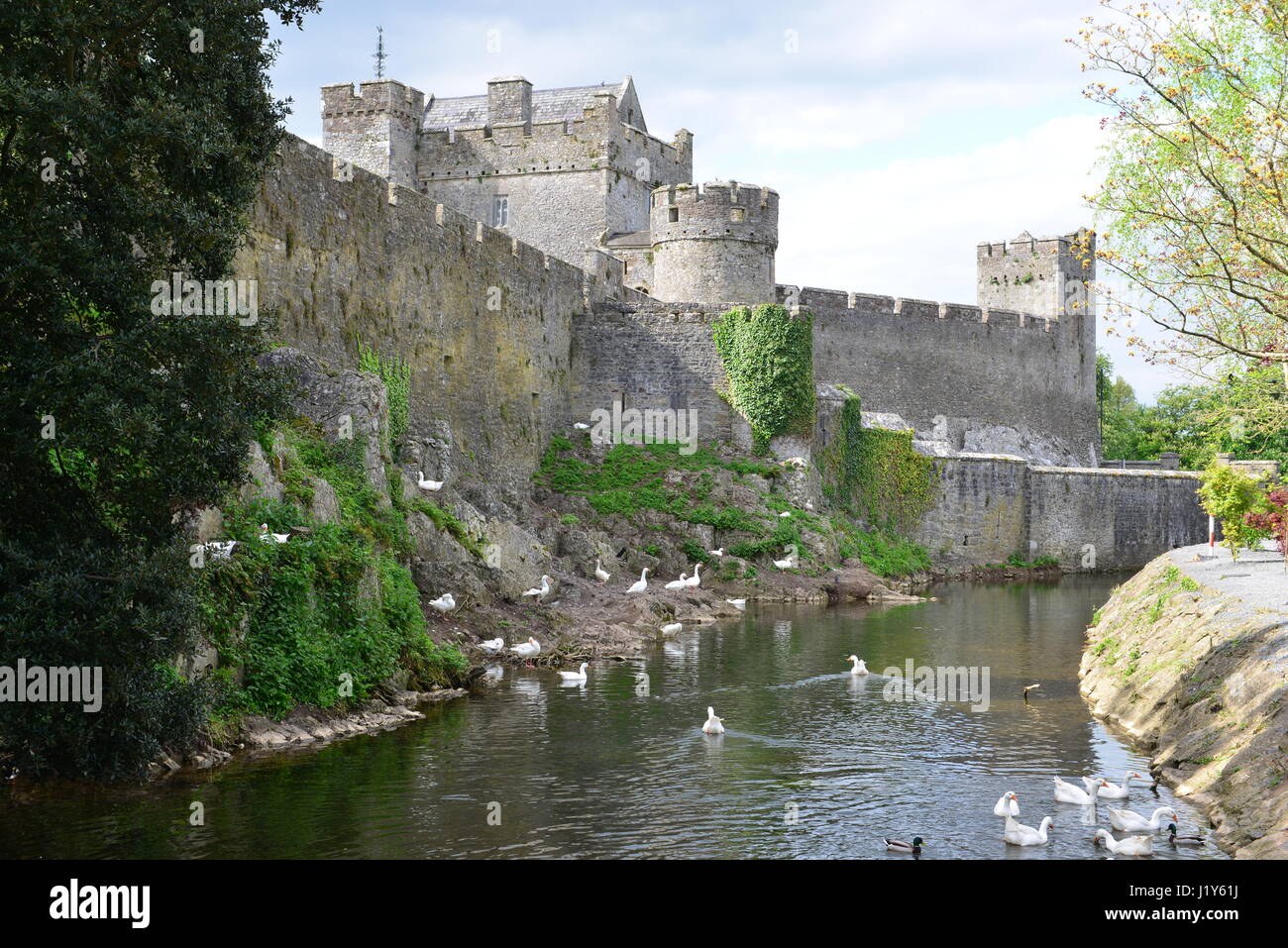 Cahir castle in Ireland Stock Photo - Alamy