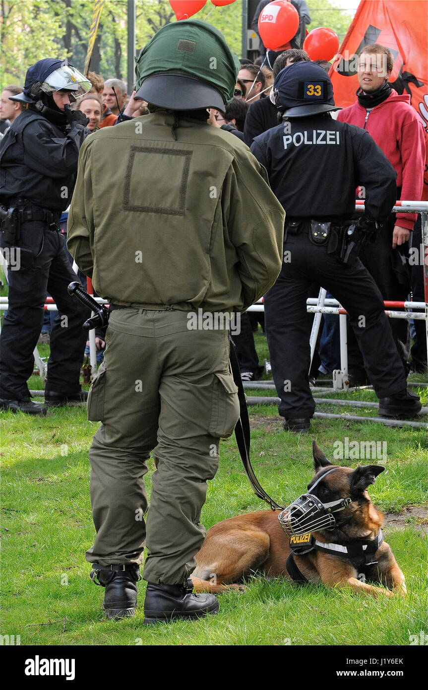 Nazi officer dog hi-res stock photography and images - Alamy