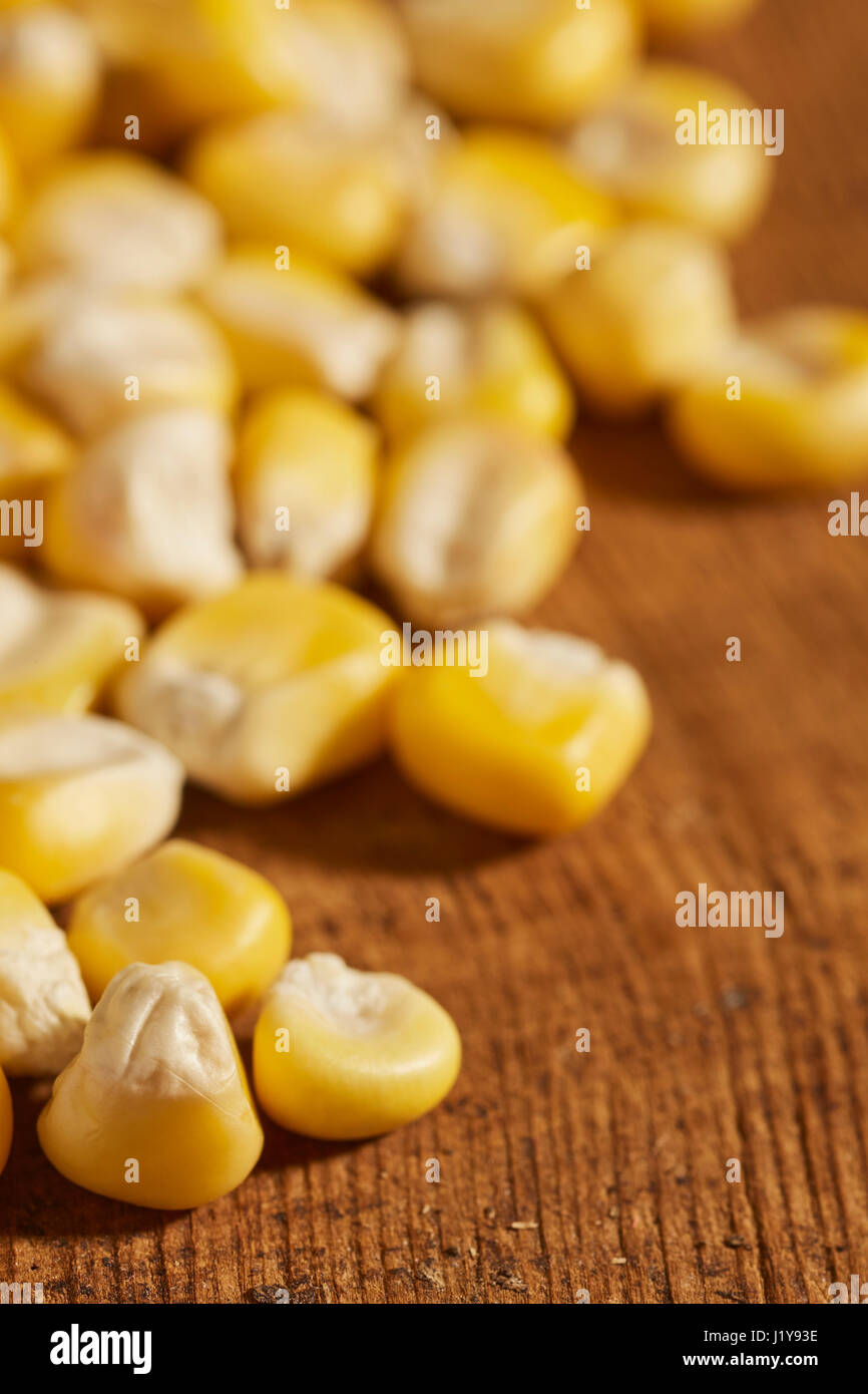 kernels of dried Native American flint corn Stock Photo - Alamy