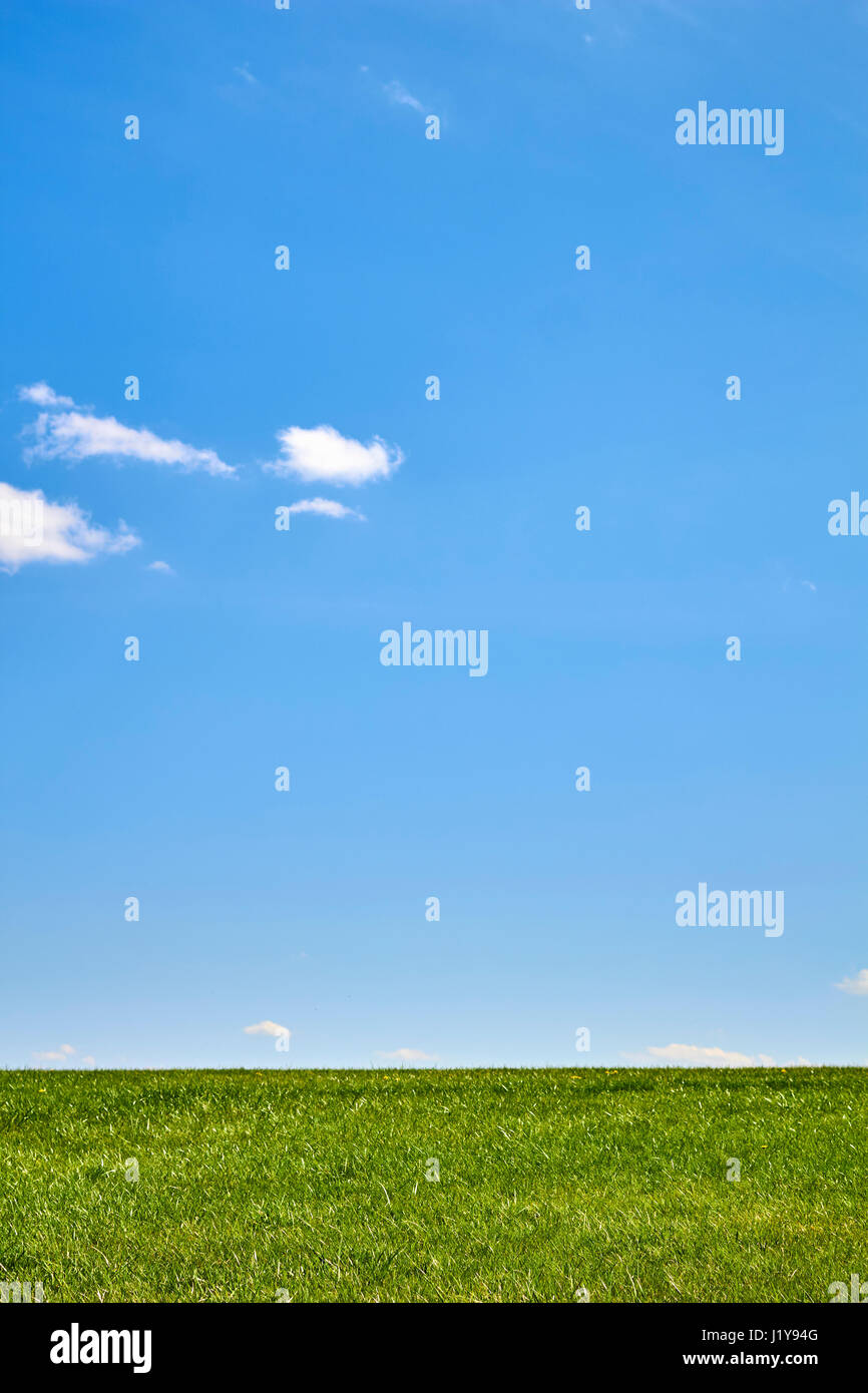 Empty grass lawn, York County, Pennsylvania, USA Stock Photo - Alamy