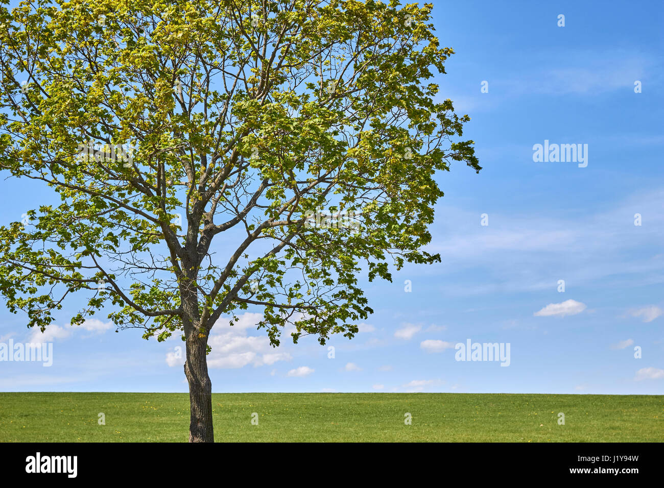 Samuel lewis state park hi-res stock photography and images - Alamy