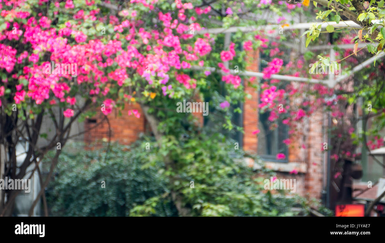 Taipei, Taiwan - Apr, 21 2017: Monga, this name Wanhua, the birthplace ...