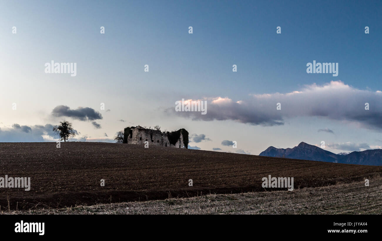 an abandoned and ruined farm in the fields of Italy Stock Photo - Alamy