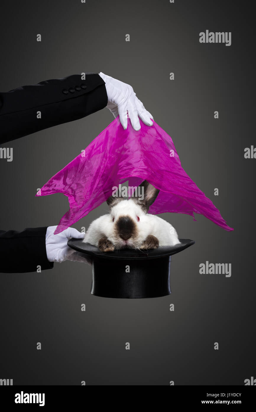 magic trick with the rabbit in the hat Stock Photo - Alamy