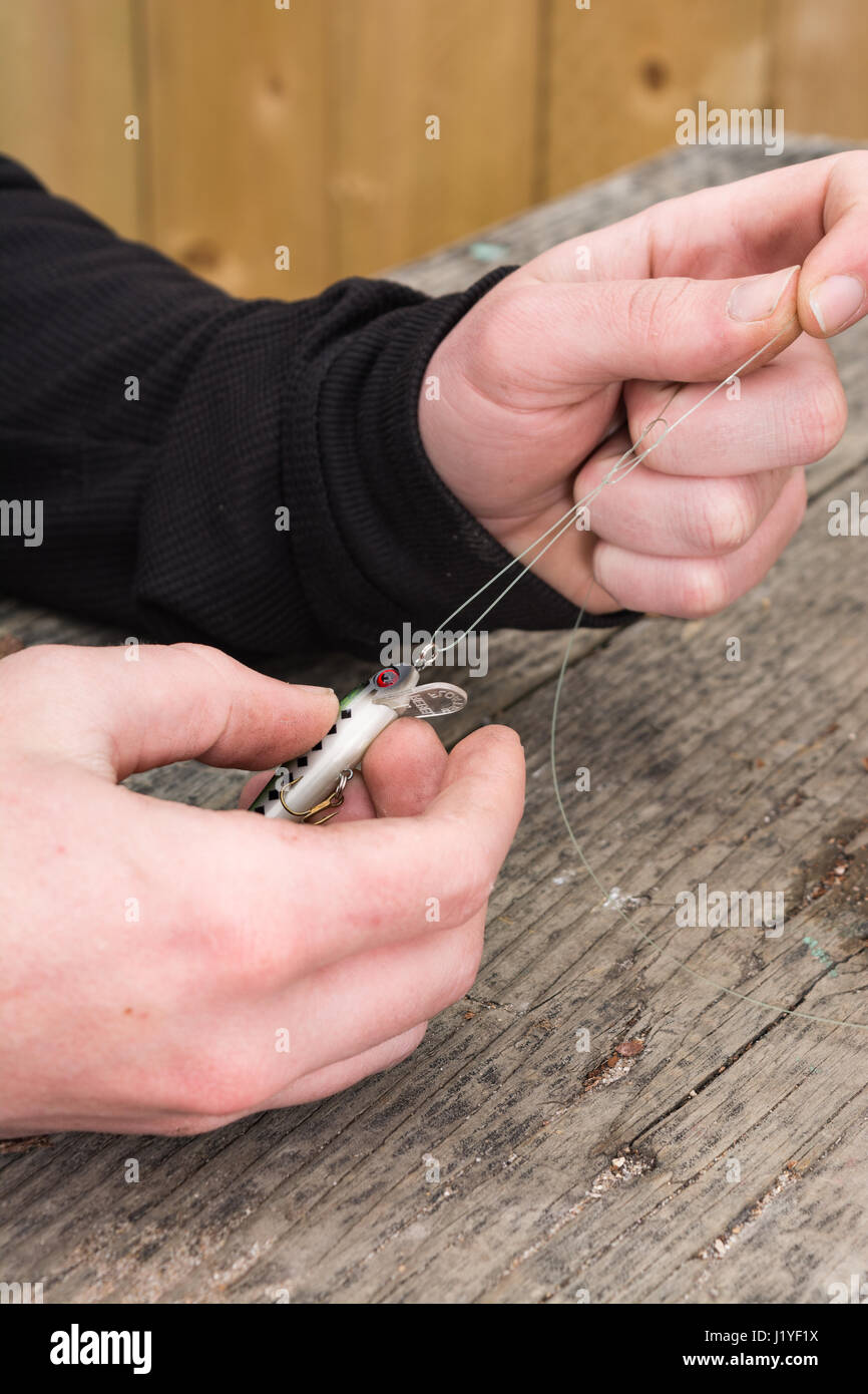 male hands tying a fishing lure to monofilament line Stock Photo - Alamy