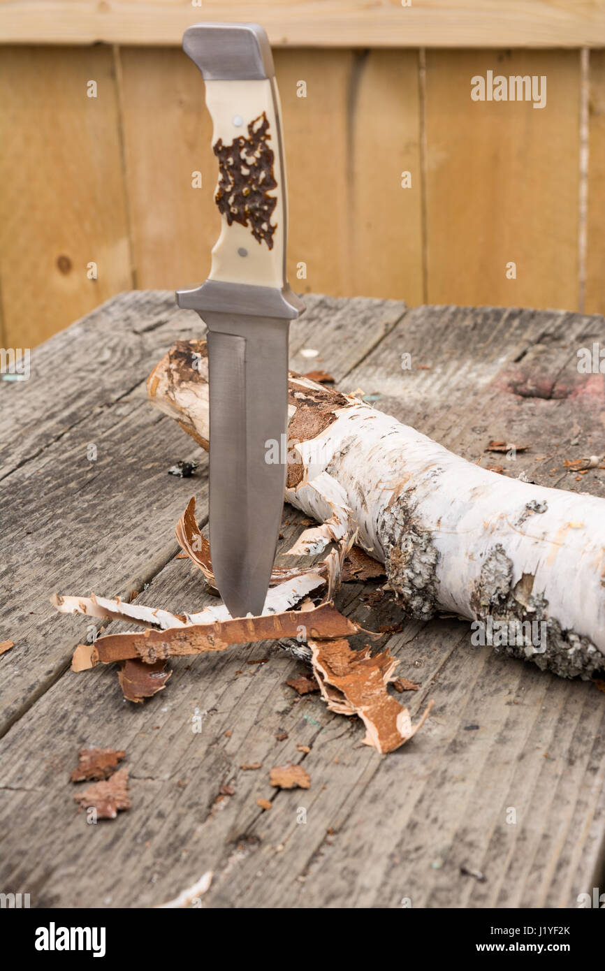 Large hunting knife stuck in wood with wood shavings Stock Photo - Alamy