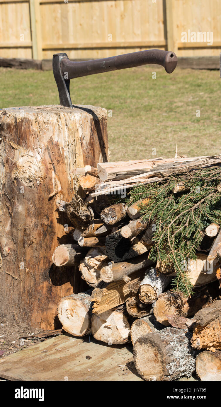 stack of camp fire wood with an axe in a tree stump Stock Photo - Alamy