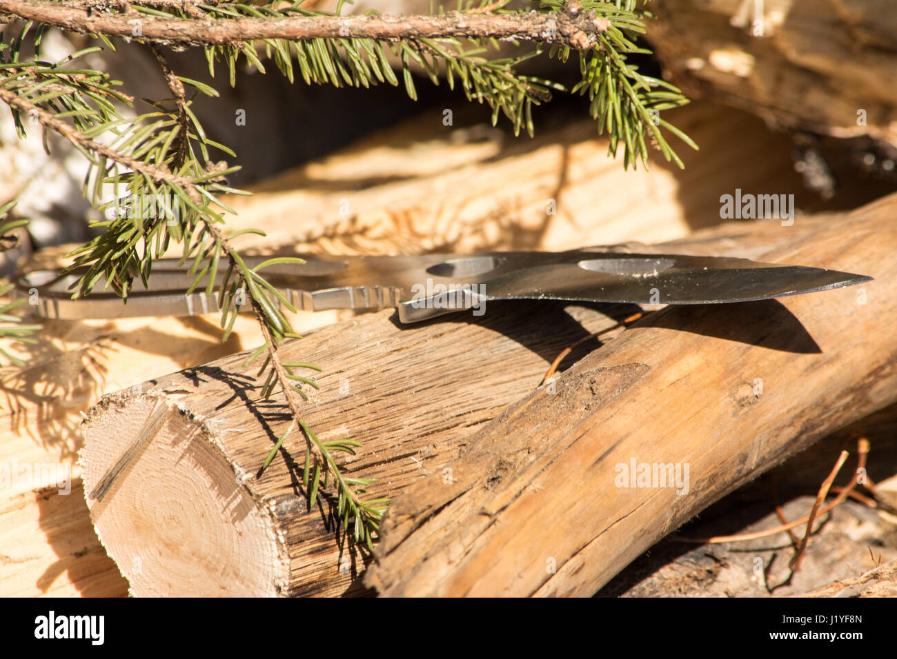 steel hunting knife surrounded by wood and saplings natural setting ...