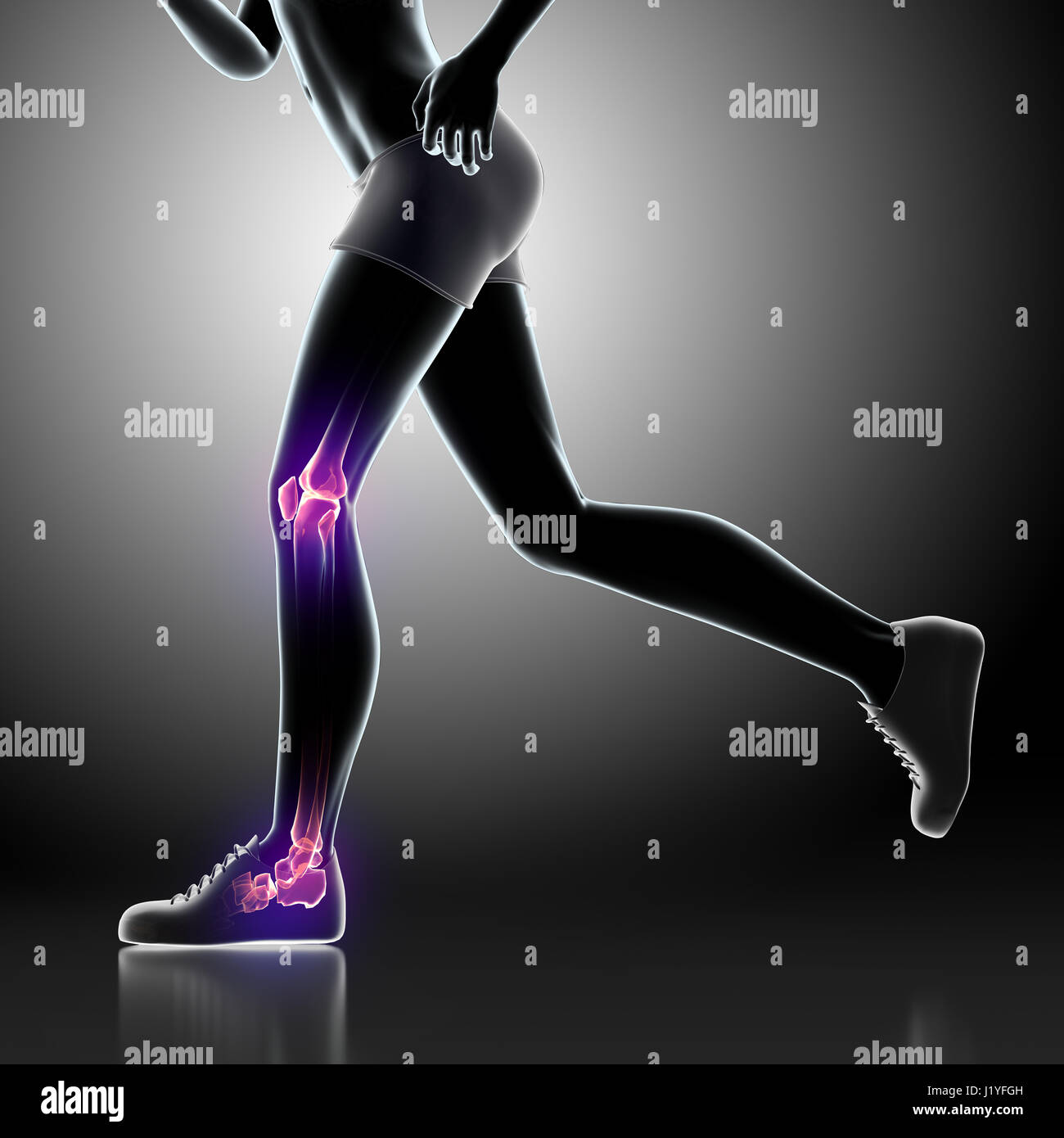 3d illustration - woman runing pose with x-ray joint and skeleton Stock ...