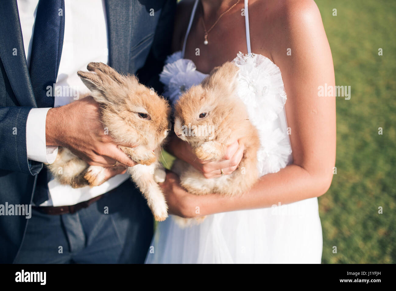 Bush man rabbit hi-res stock photography and images - Alamy