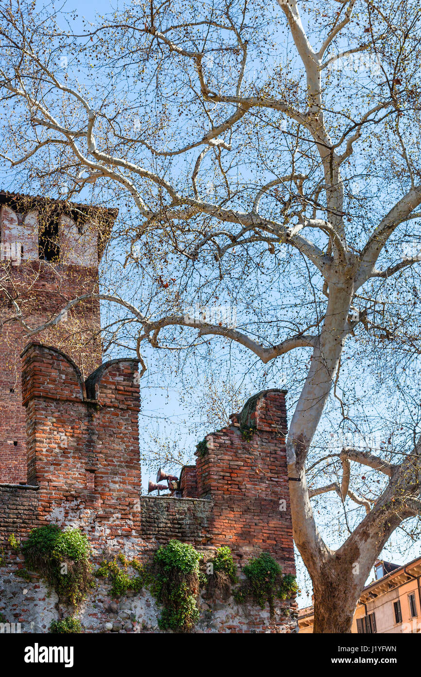 travel to Italy - view of wall with m-shaped merlons of Castelvecchio ...