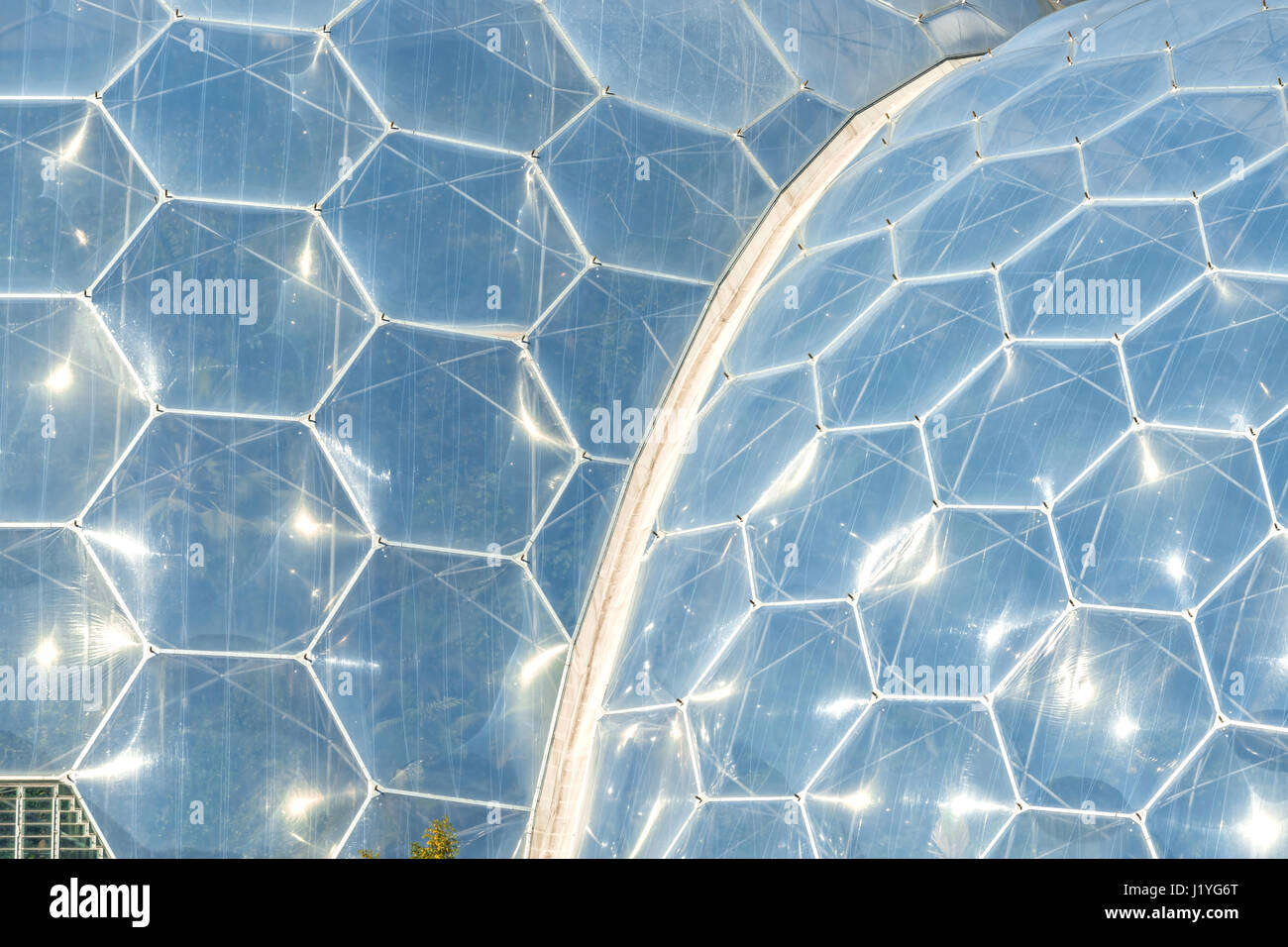 Eden Project windows Stock Photo - Alamy