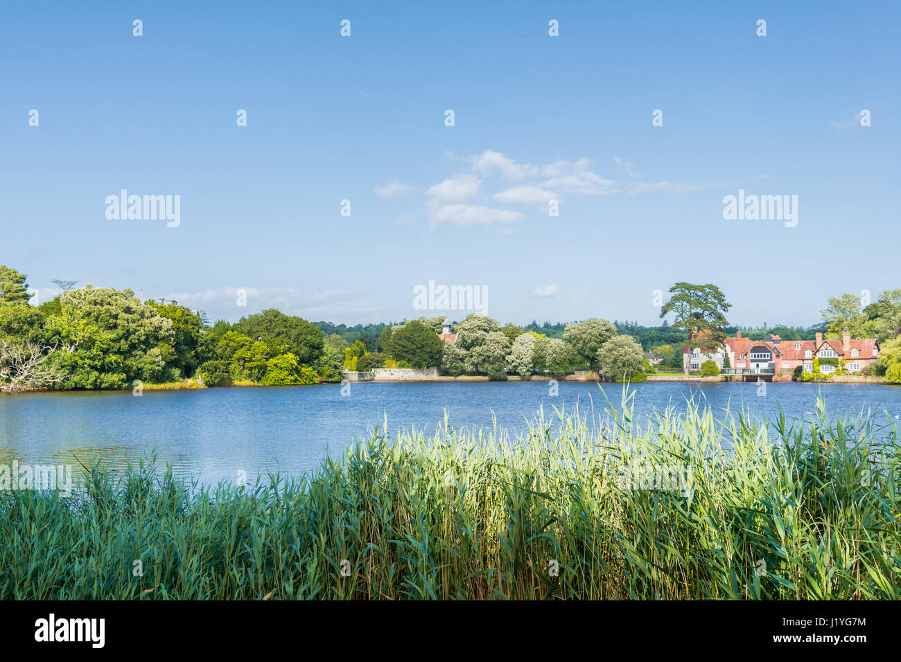 Beaulieu background hi-res stock photography and images - Alamy