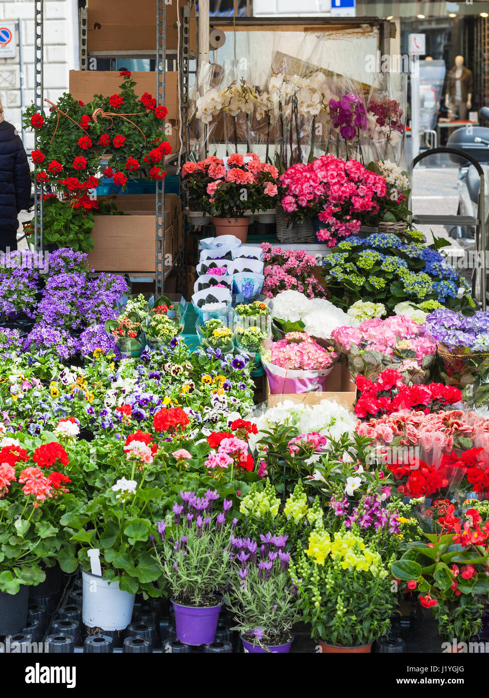 travel to Italy - flower stall on street in Padua city in spring Stock ...