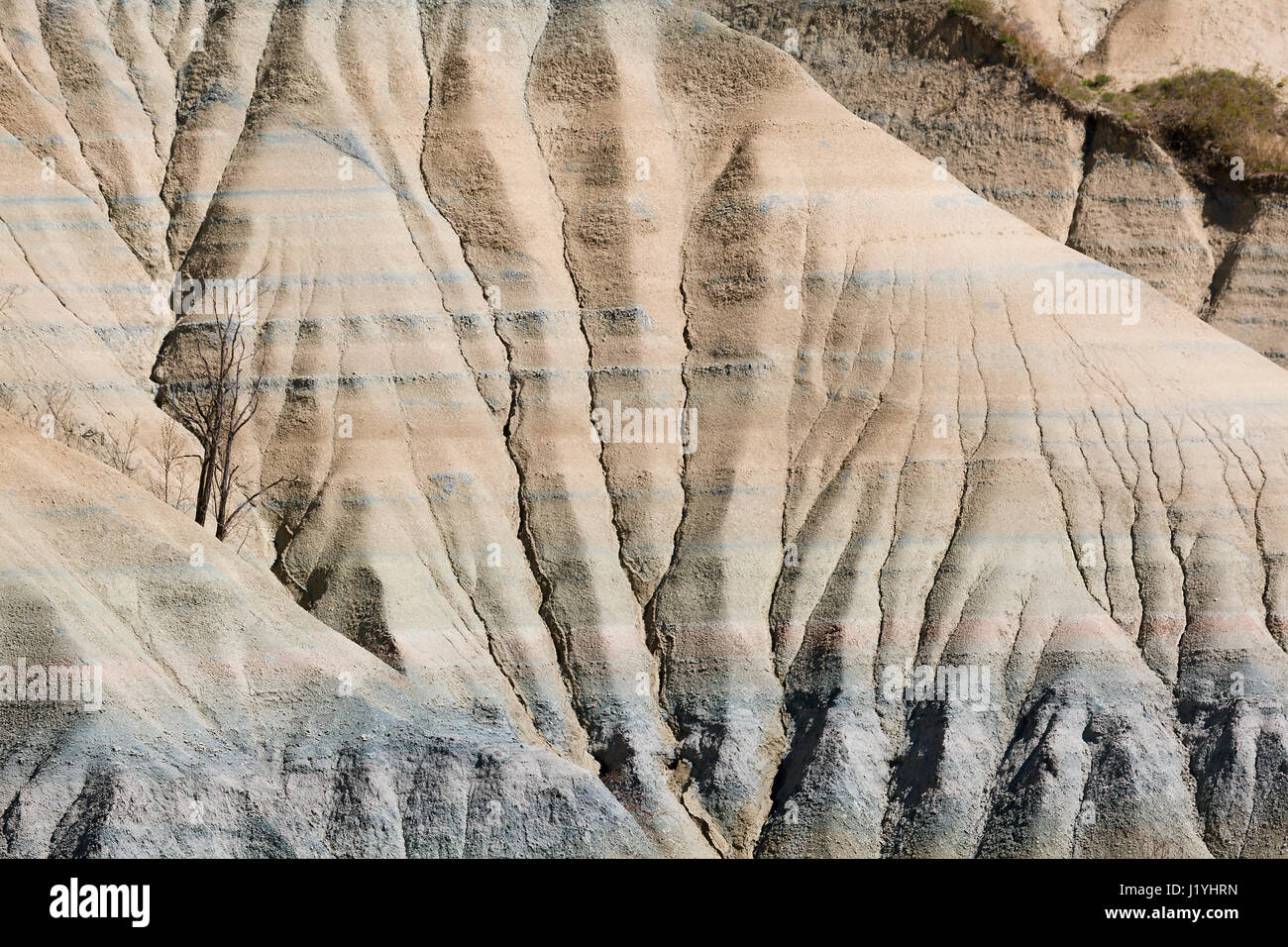 Le Ravin de Corboeuf, Rosieres, Haute Loire, France Stock Photo - Alamy