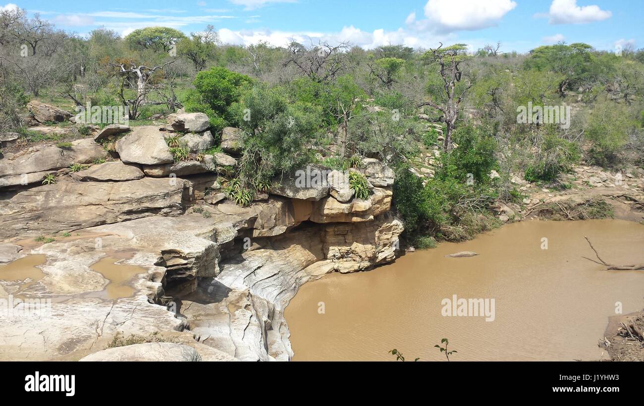 oasis in south african bush land Stock Photo - Alamy