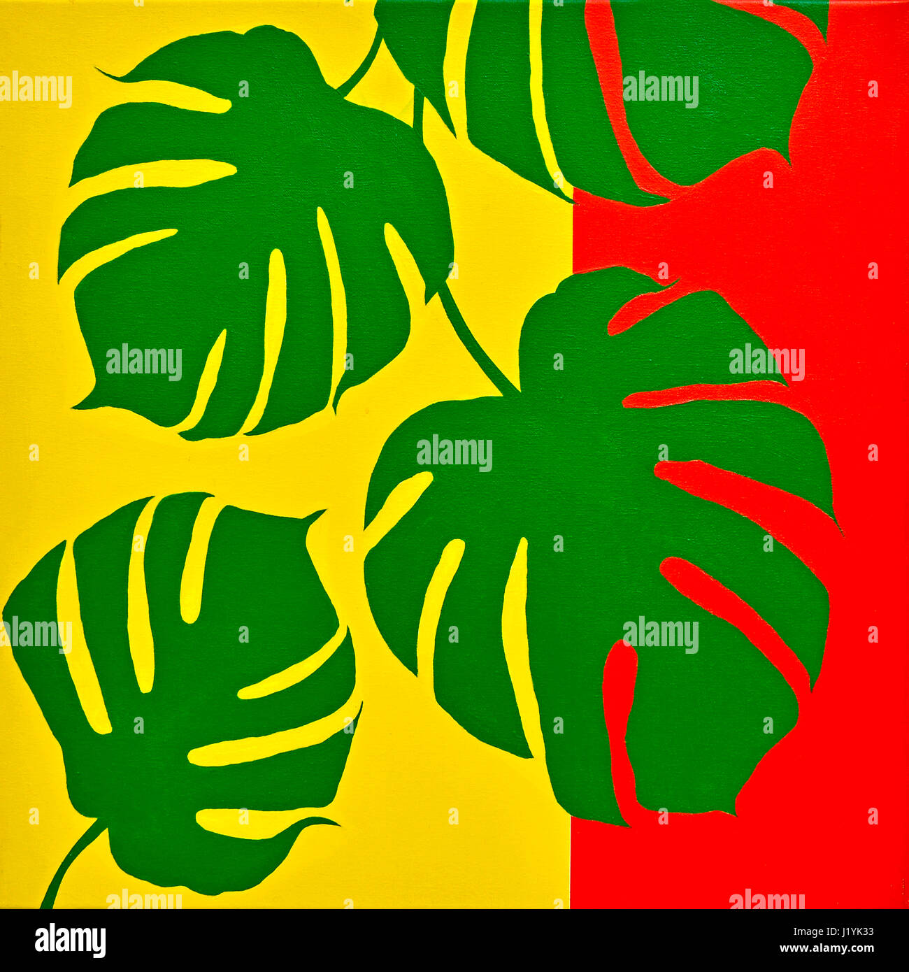 Illustration of Split leaff Philodendron selloum or Swiss Cheese Plant ...