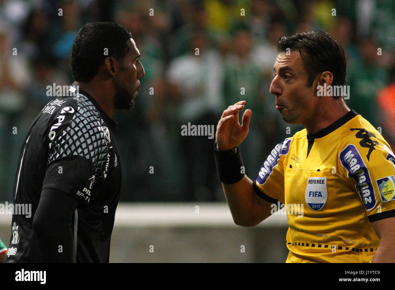 SÃO PAULO, SP - 22.04.2017: PALMEIRAS X PONTE PRETA - Spider and the ...