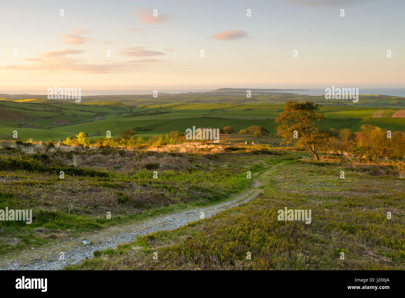 Hardy way dorset hi-res stock photography and images - Alamy