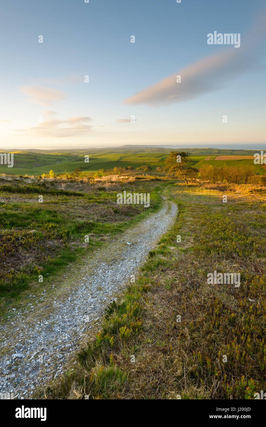 Hardy way dorset hi-res stock photography and images - Alamy