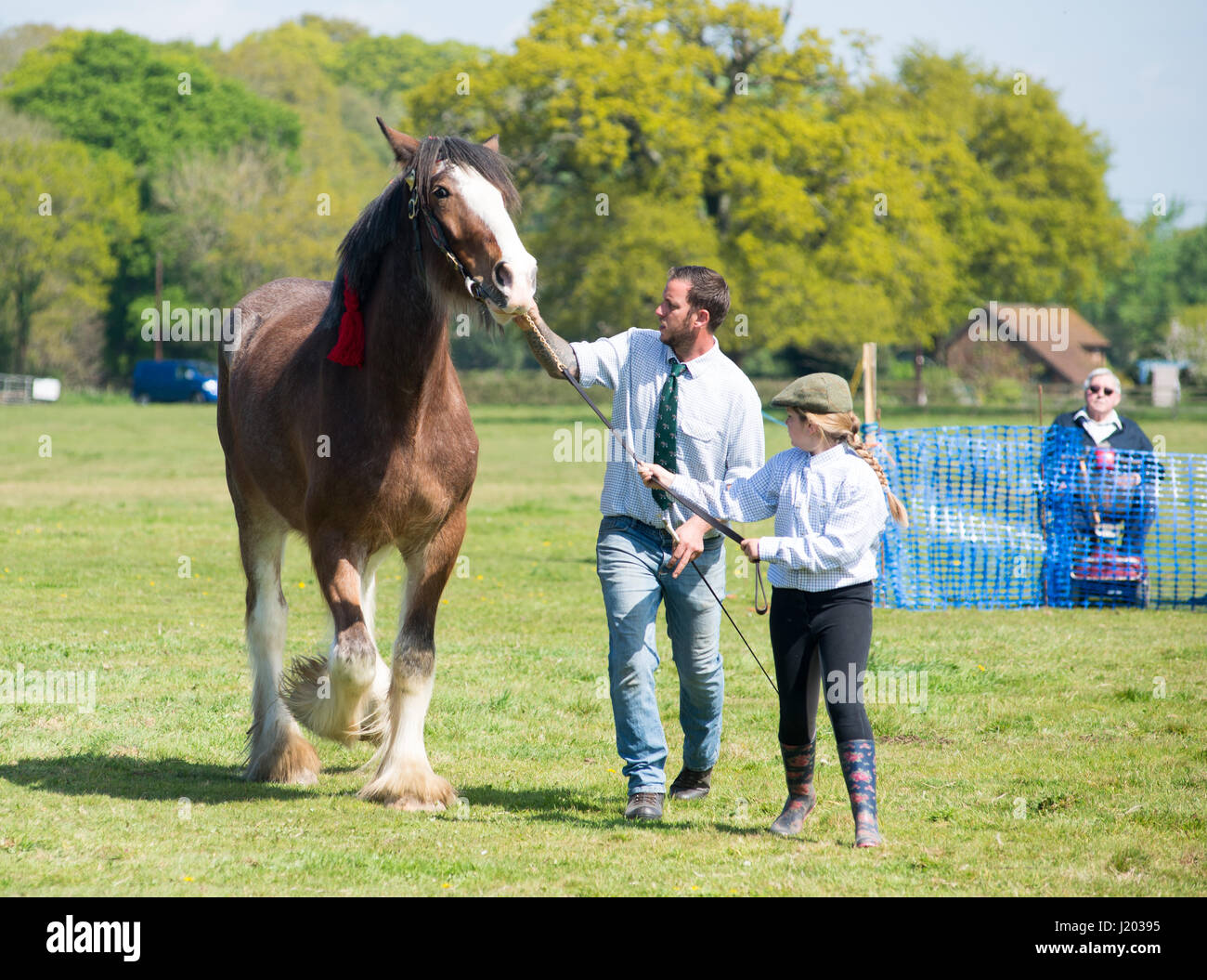 Horse and handler trotting hi-res stock photography and images - Alamy