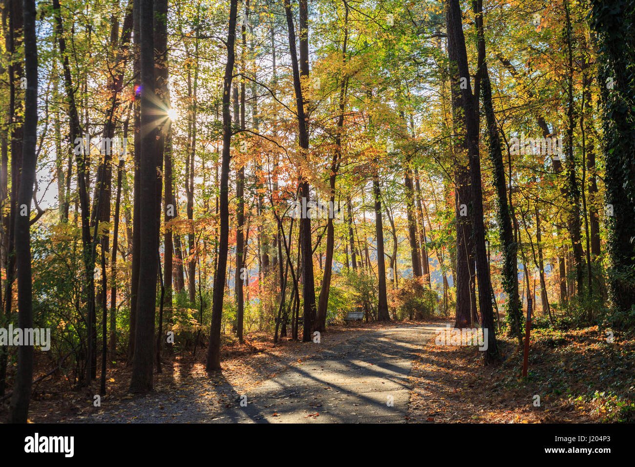 Walking path in Lake johnson park of Raleigh, NC Stock Photo - Alamy