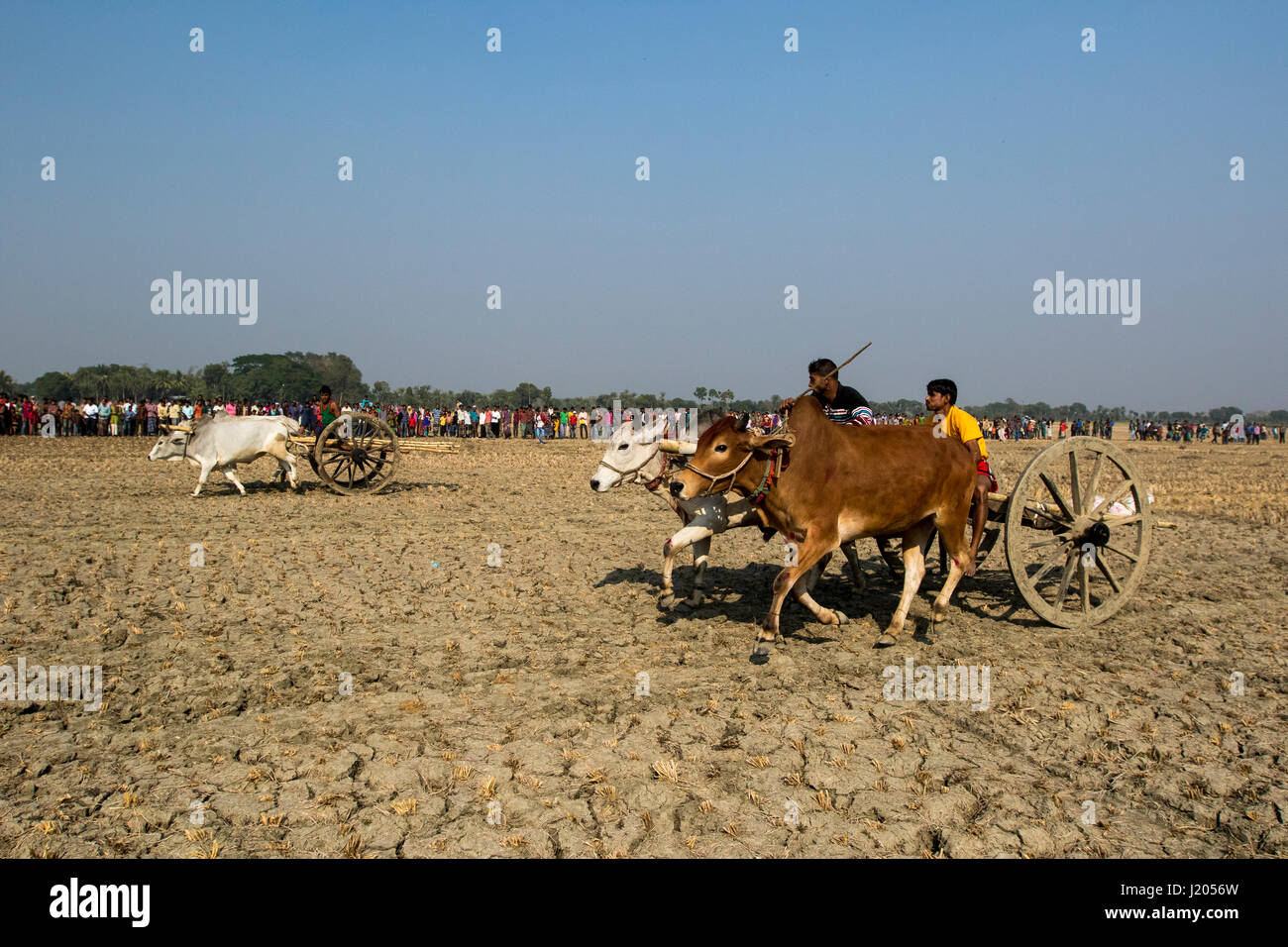 Bullock cart wheel hi-res stock photography and images - Alamy