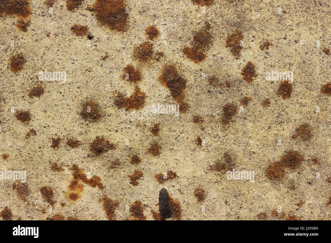 Corroded white metal background or texture, Rusty corrosion Stock Photo ...