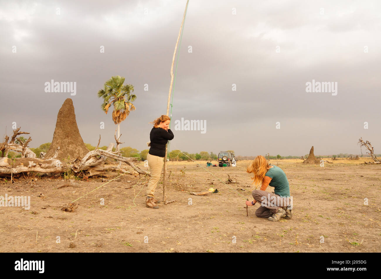 Surveying bats in Liwonde National Park, Malawi Stock Photo - Alamy