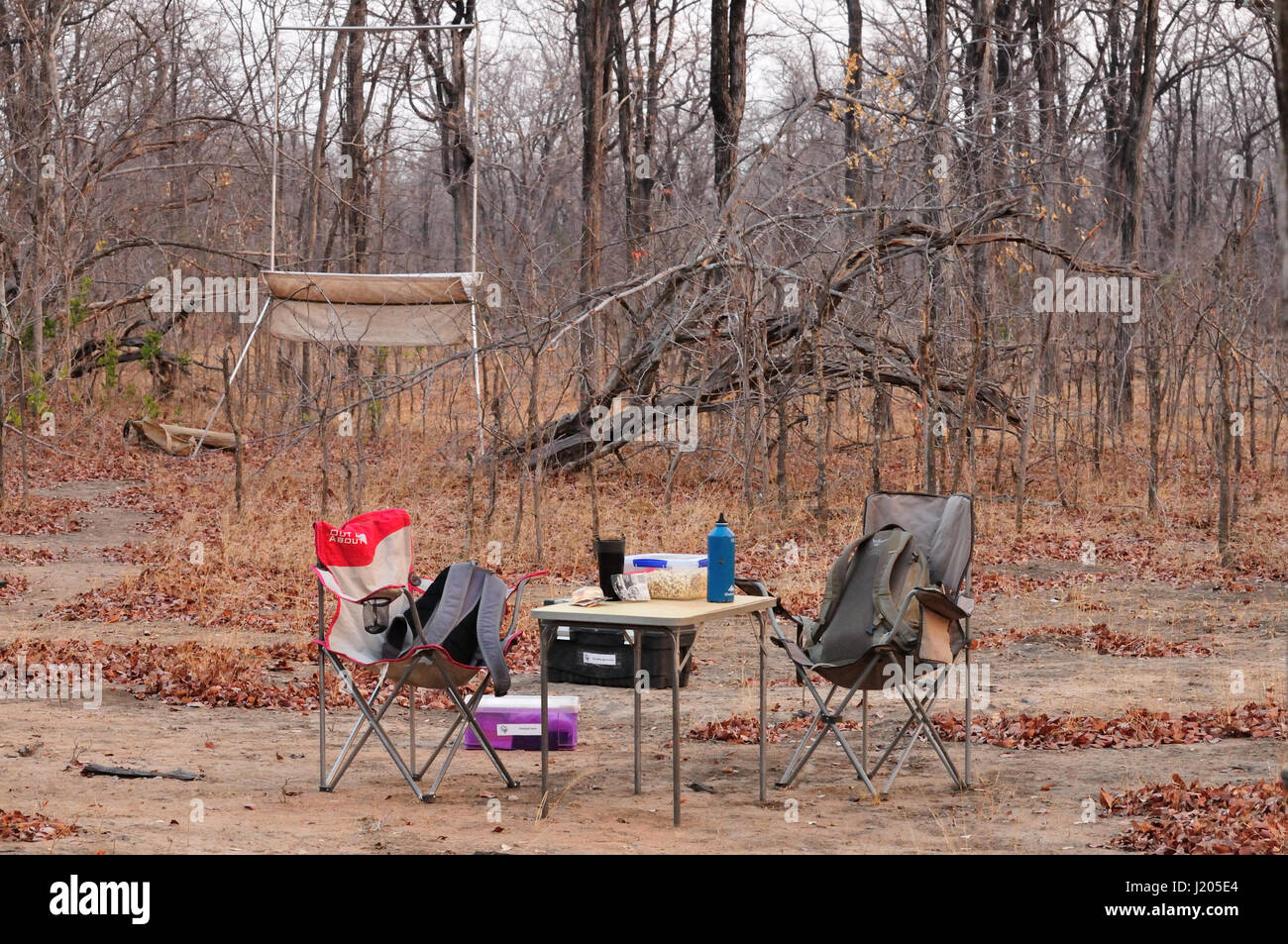 Surveying bats in Liwonde National Park, Malawi Stock Photo - Alamy