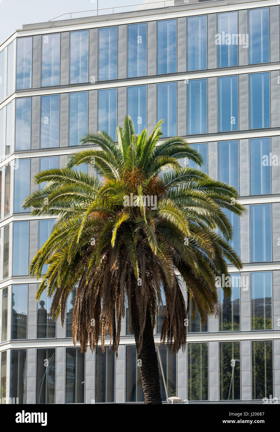 Barcelona (Catalunya, Spain): modern building and palm tree in the ...