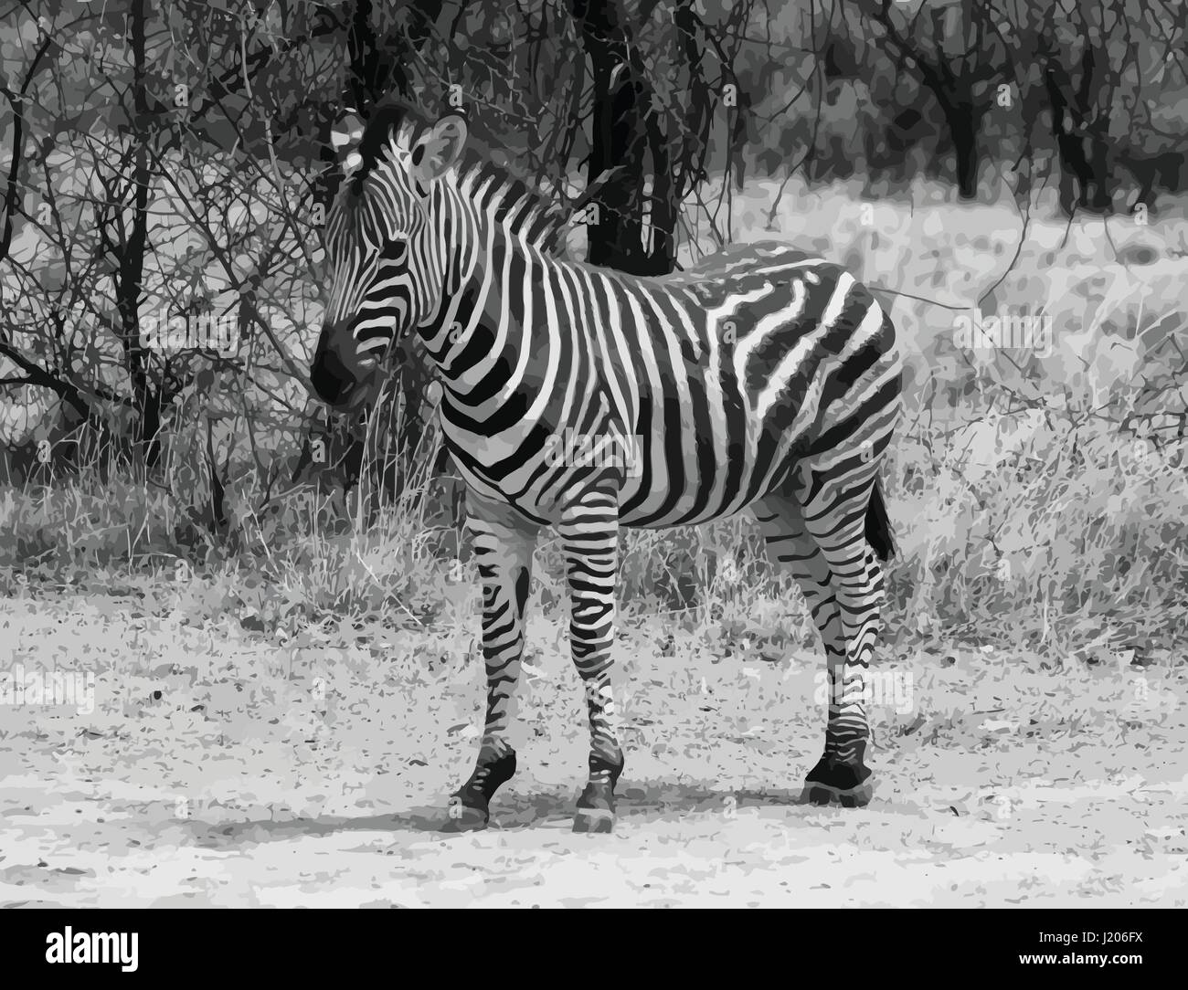 South african bushveld Stock Vector Images - Alamy