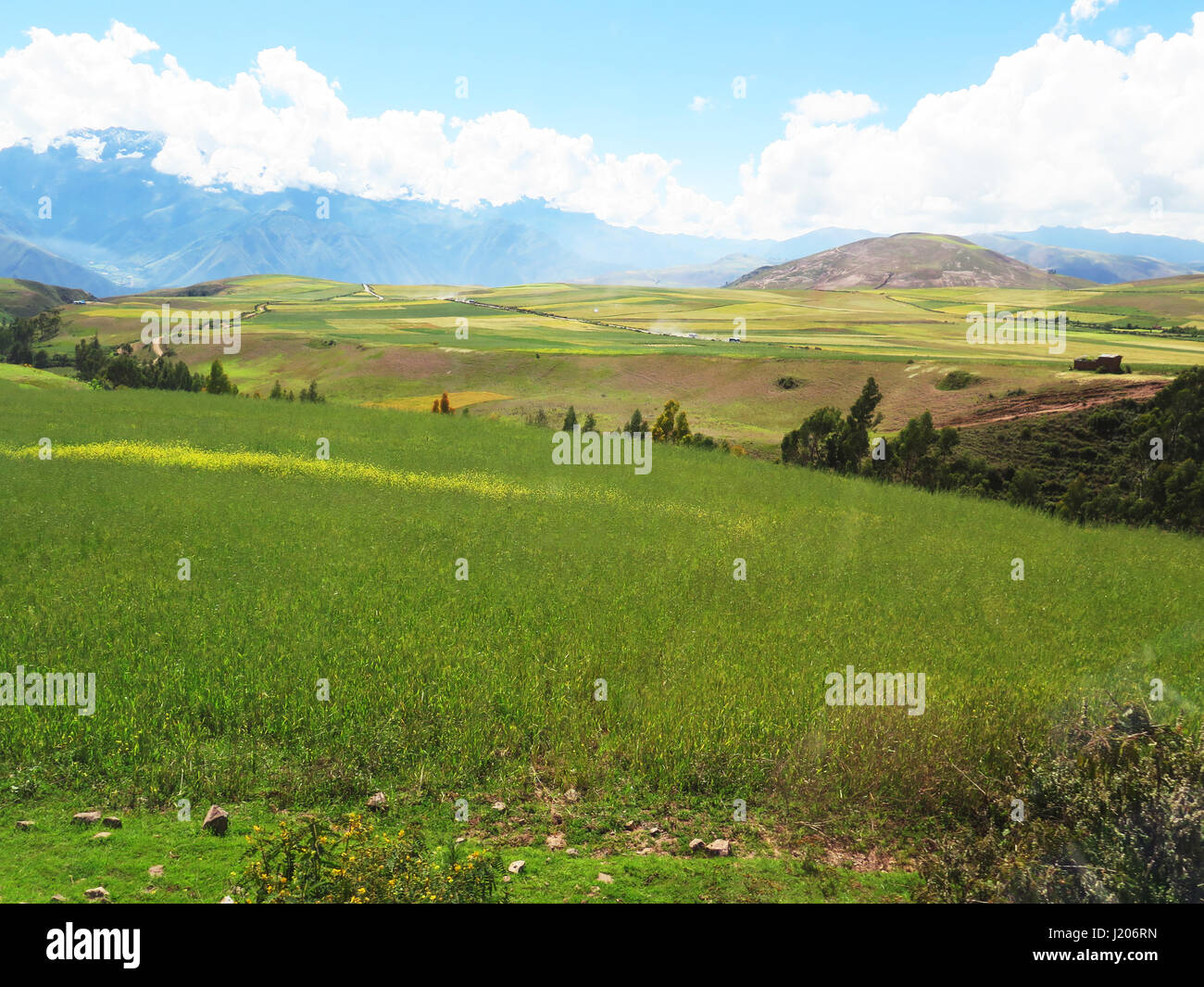 Agricultural field in Sacred Valley, Cusco Region, Peru Stock Photo - Alamy