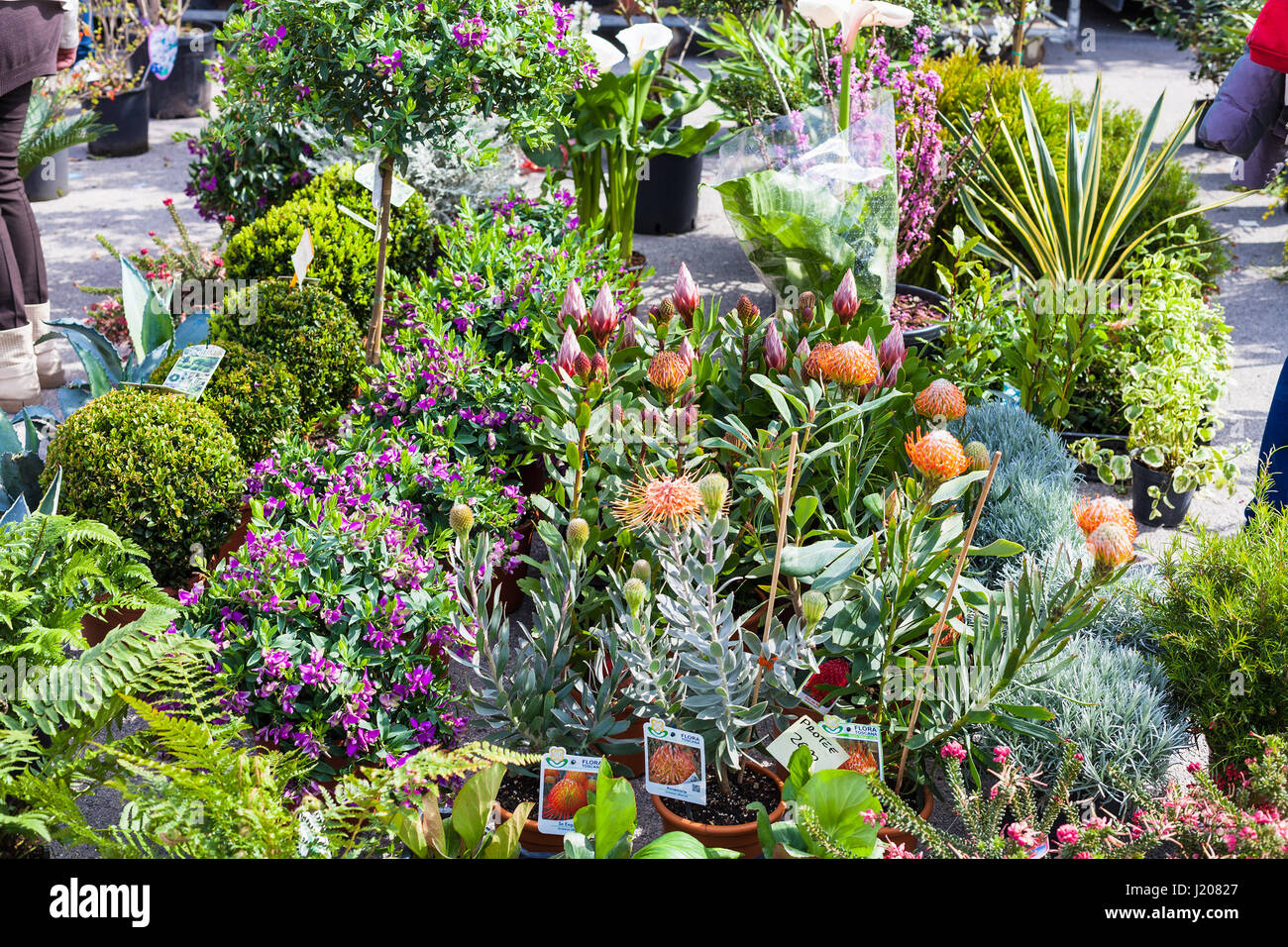 Elliptical garden hi-res stock photography and images - Alamy