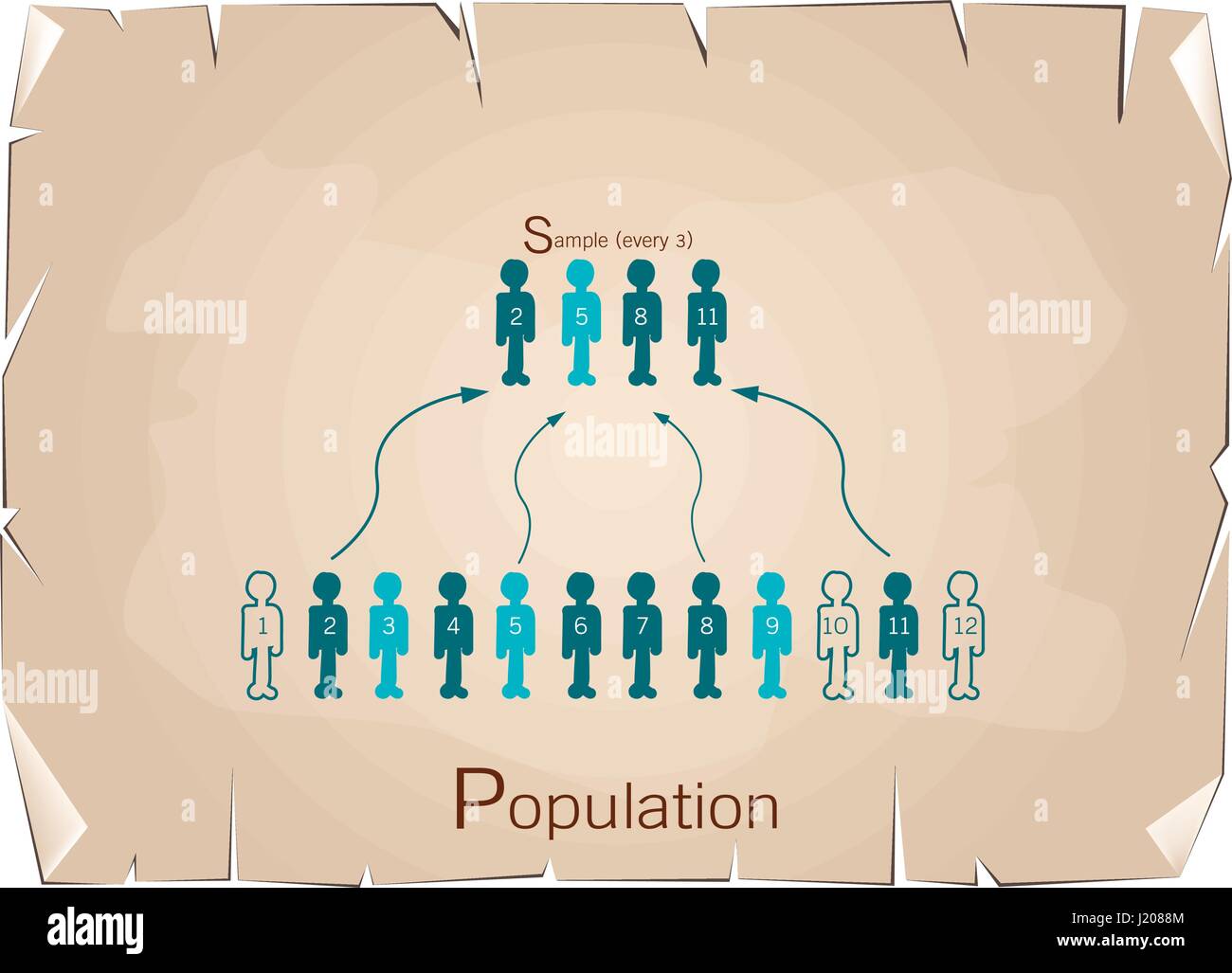 Systematic sampling Stock Vector Images - Alamy