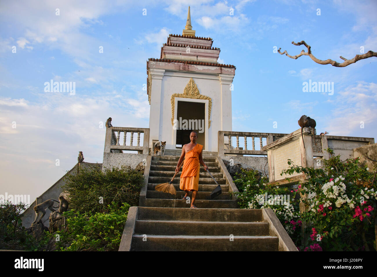 Monk at khao chong krachok monkey temple hi-res stock photography and ...