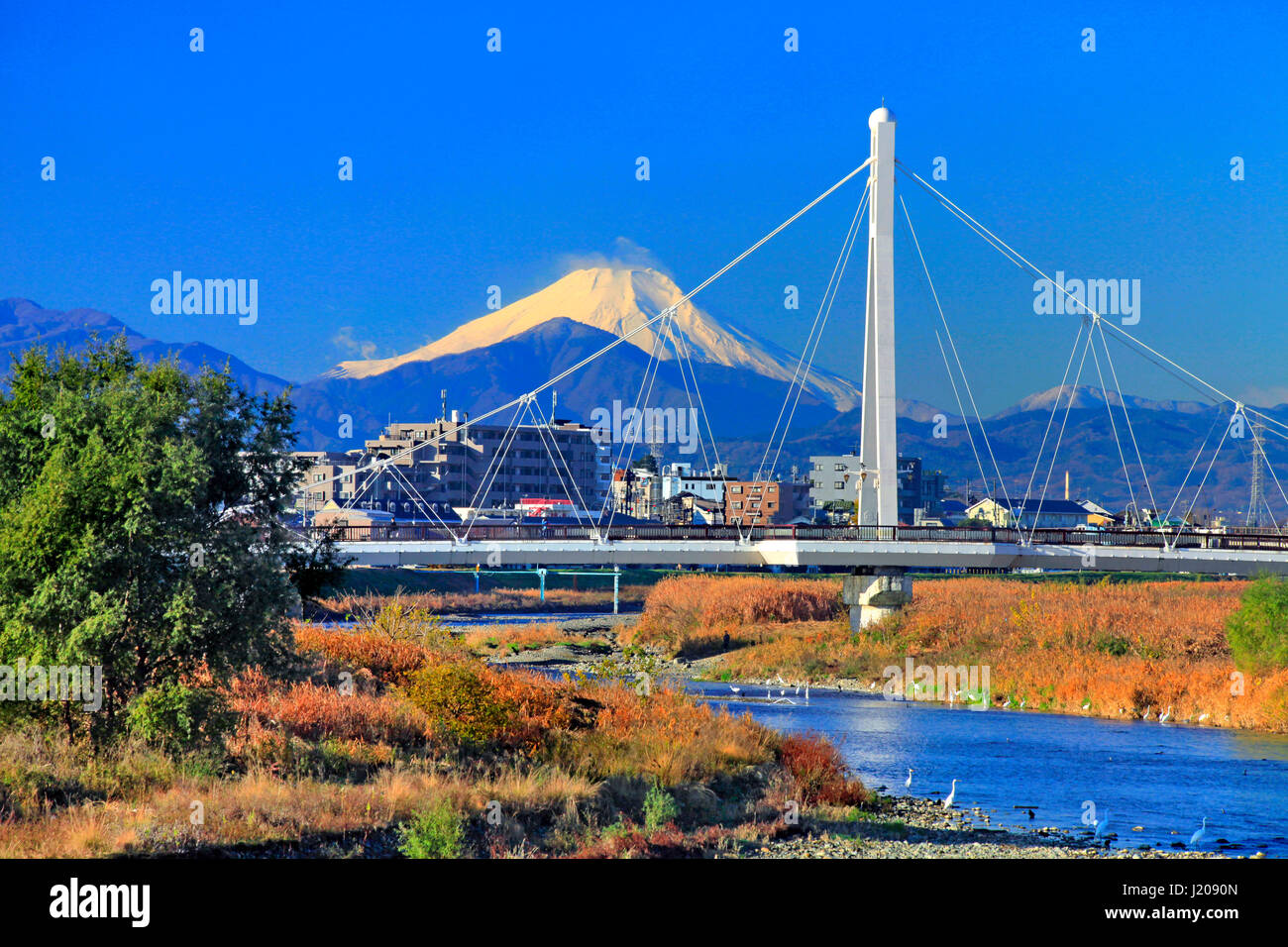 Mt Hino High Resolution Stock Photography and Images - Alamy