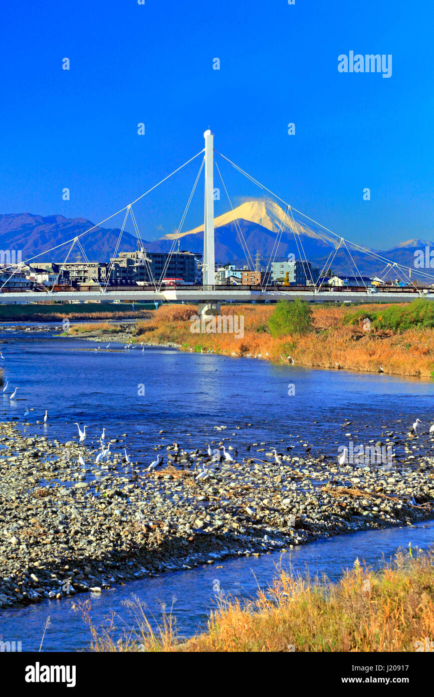 Mount Fuji View from Asakawa River Hino city Tokyo Japan Stock Photo ...