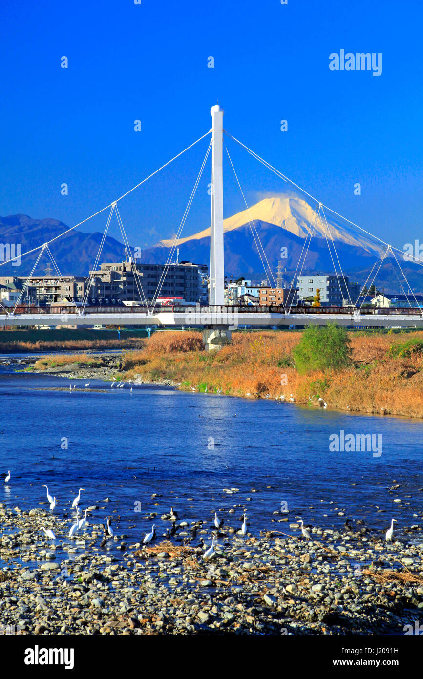 Mt Hino High Resolution Stock Photography and Images - Alamy