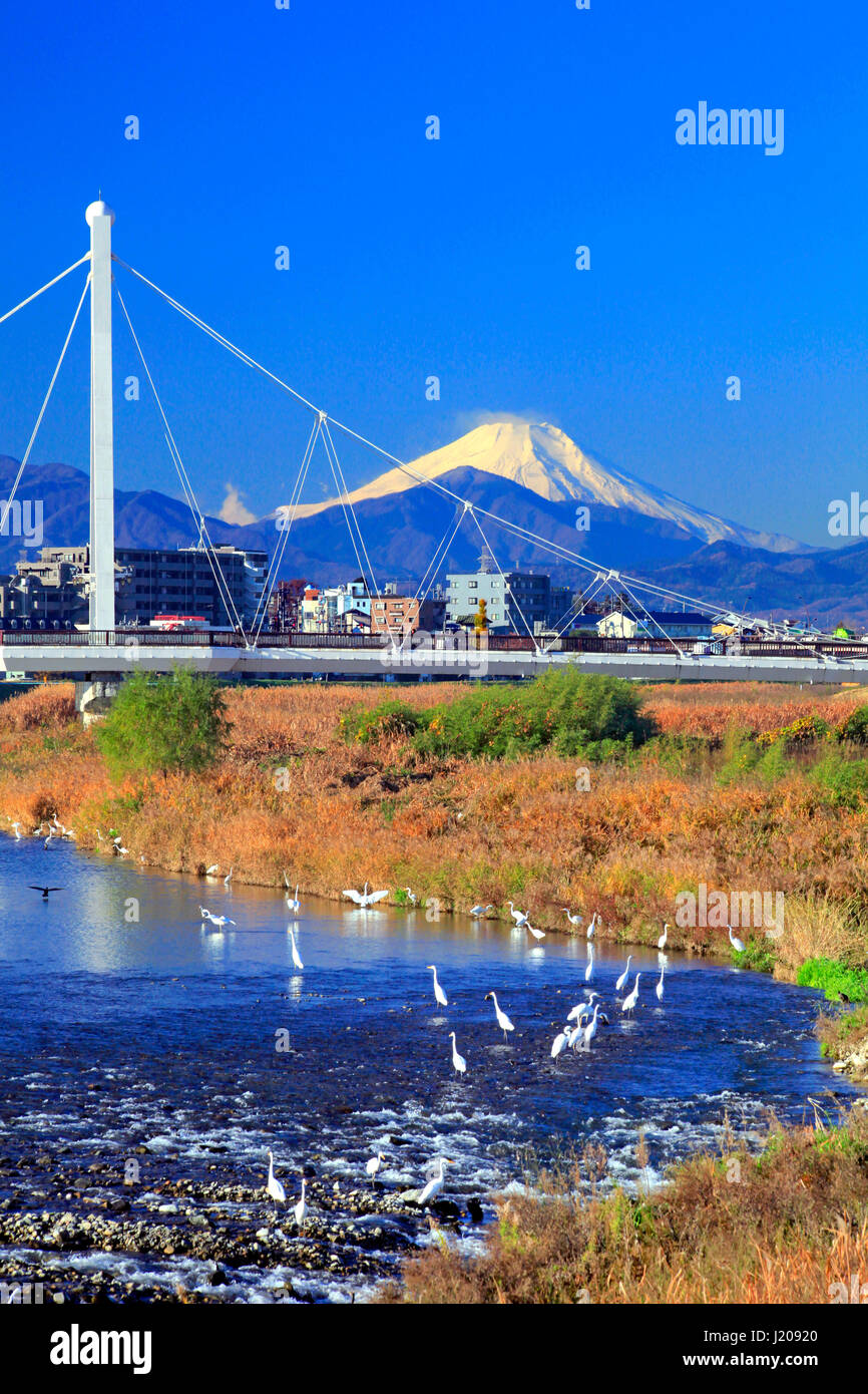 Mt Hino High Resolution Stock Photography and Images - Alamy