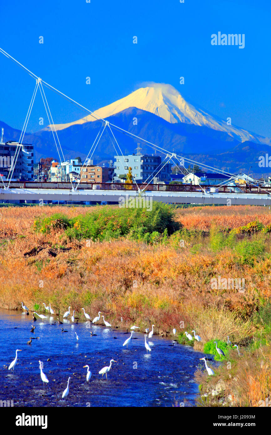 Mt hino hi-res stock photography and images - Alamy