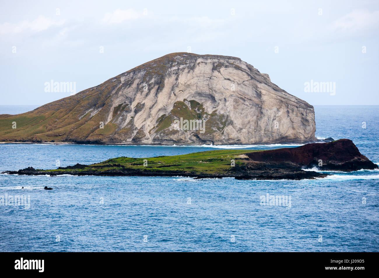Rabbit island hi-res stock photography and images - Alamy