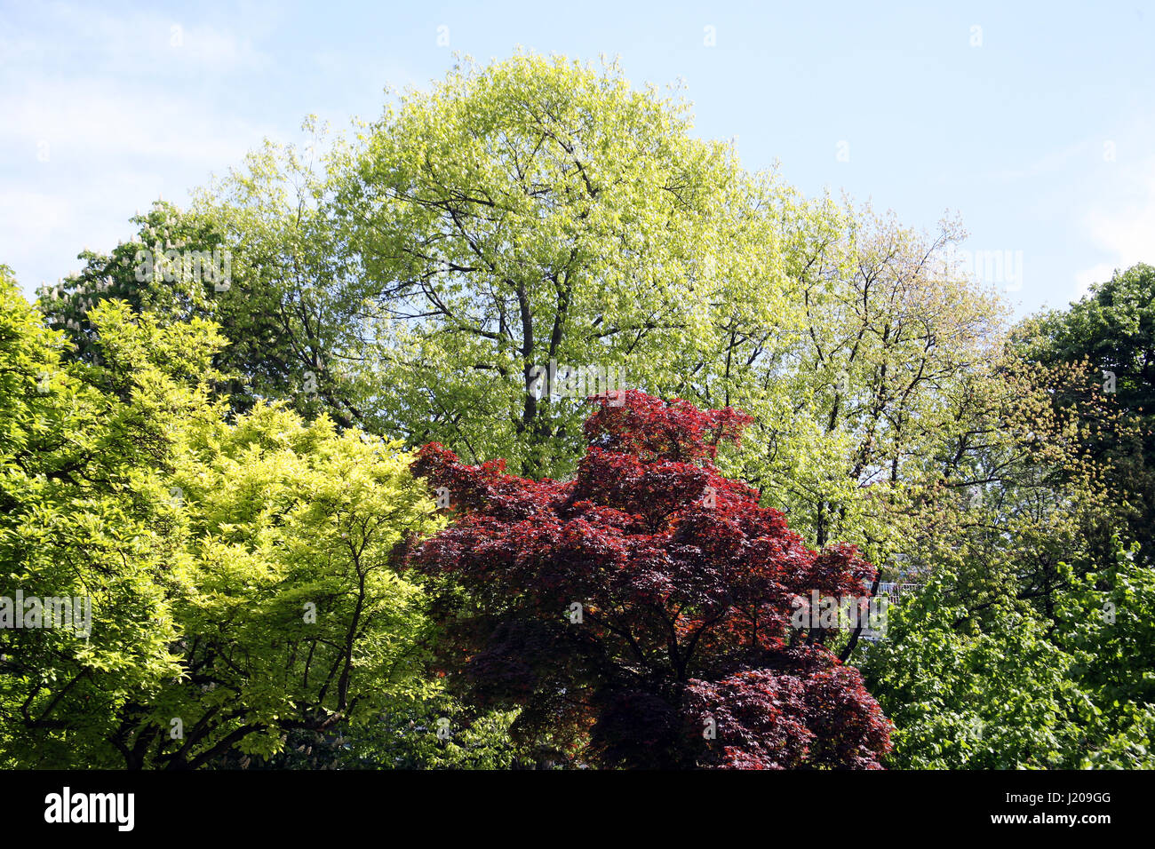 Ribnjak zagreb hi-res stock photography and images - Alamy